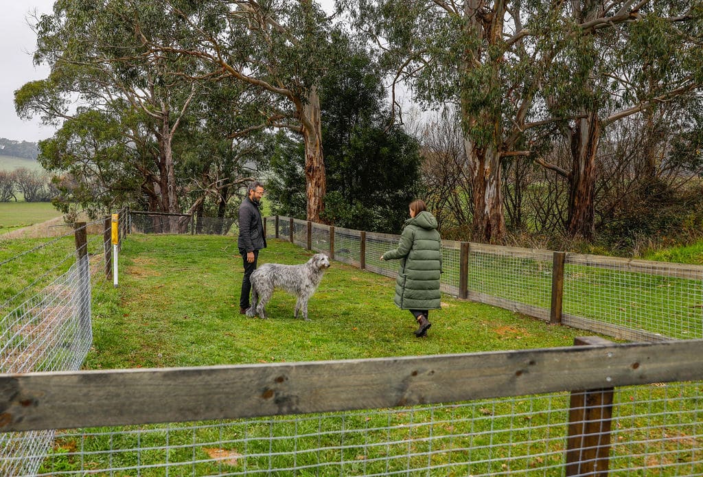 Forrest Holiday Park joins Kui Parks, Offering a Nature Escape in ...